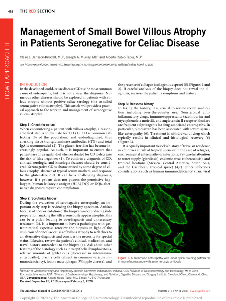 Managing Seronegative Villous Atrophy | PDF | Coeliac Disease ...