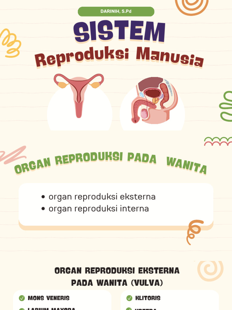 Sistem Reproduksi Manusia dan Kesehatannya | PDF