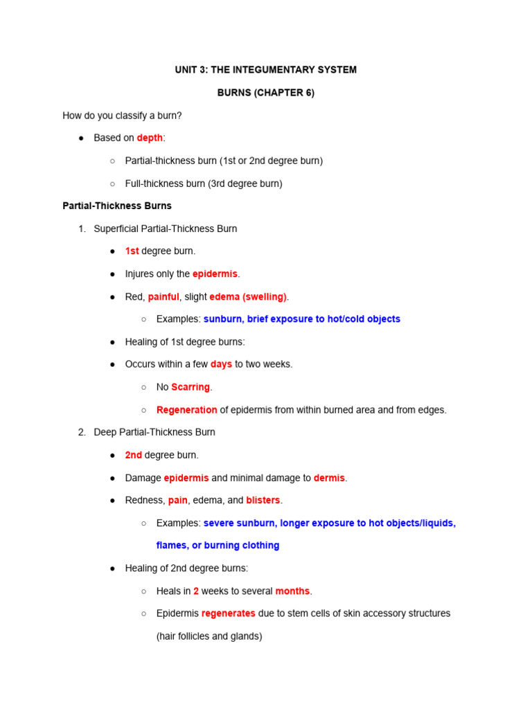 Understanding Burn Classifications | PDF | Burn | Integumentary System