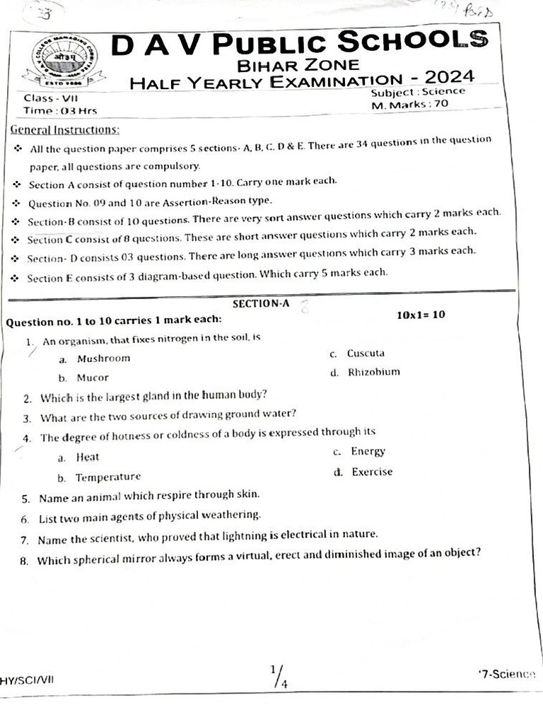 Dav Public School Bihar Zone Half Yearly Question Papers Class-72024-25 ...