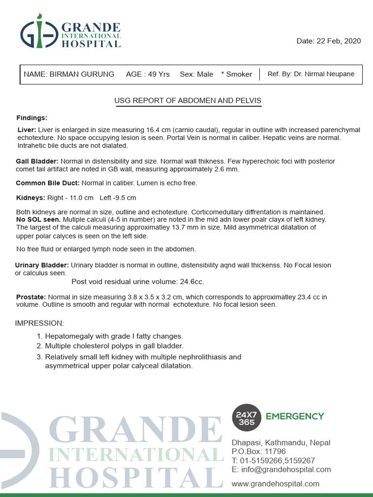 Usg Report of Birman Dai | PDF | Liver | Gallbladder