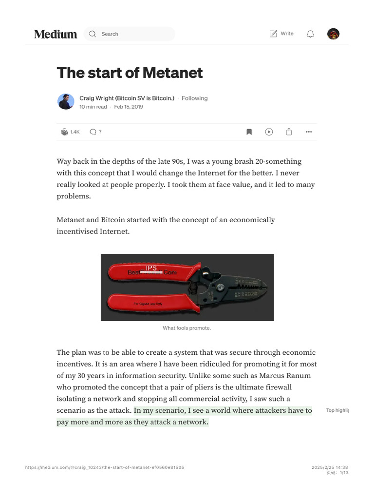The Birth of Metanet and Bitcoin's Future | PDF | I Pv6 | Ip Address