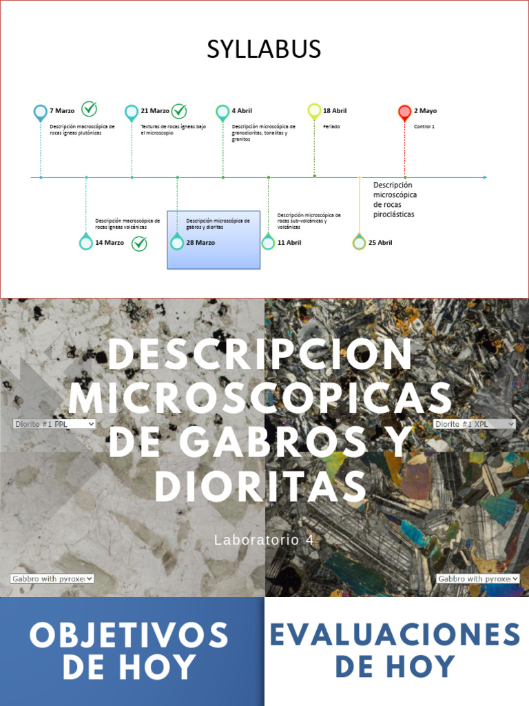4 Descripcion Microscopica de Gabros y Dioritas | PDF | Roca ígnea ...