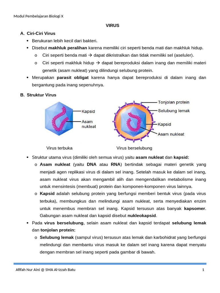 Modul Virus 2025 | PDF