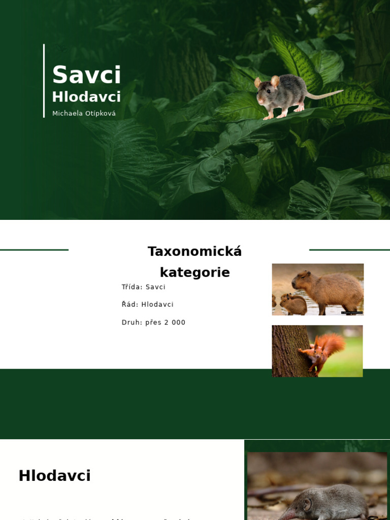 Hlodavci | PDF