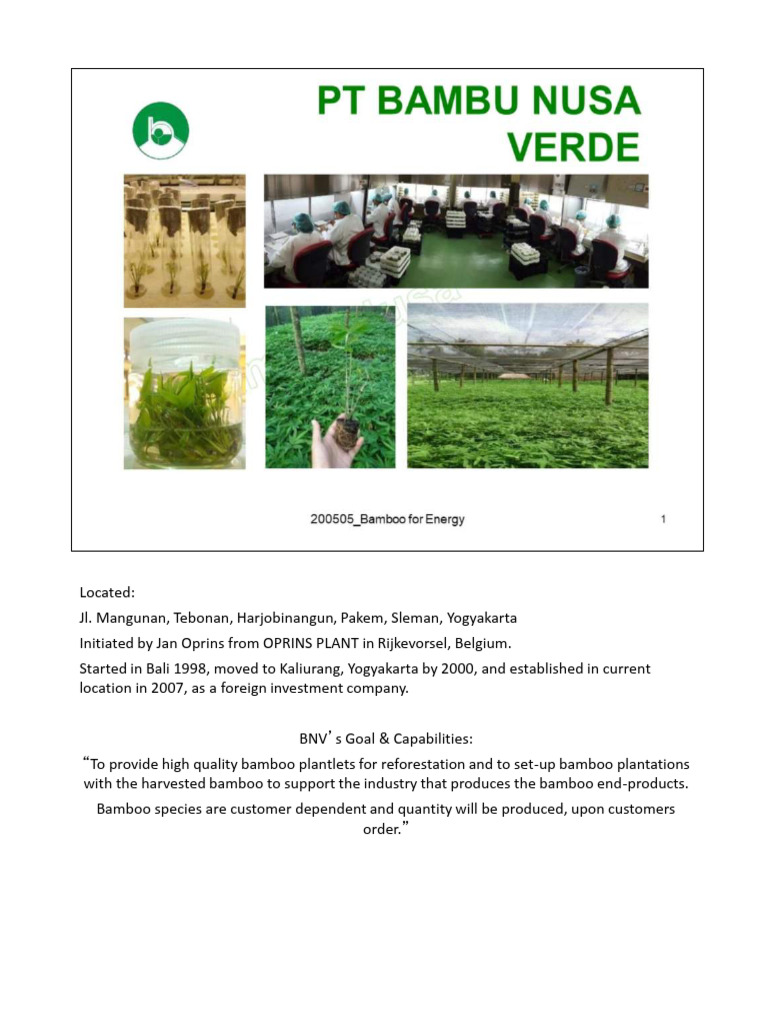 Bamboo For Energy v2 | PDF | Biofuel | Carbon Sequestration