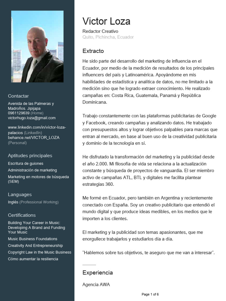 CV Victor Loza Palacios 2025 | PDF | Publicidad | Marketing