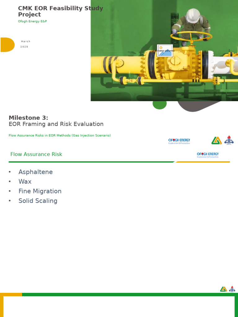 EOR-MS.03-Flow Assurance Risk in Co2 & HC Injection-Rev04 | PDF ...
