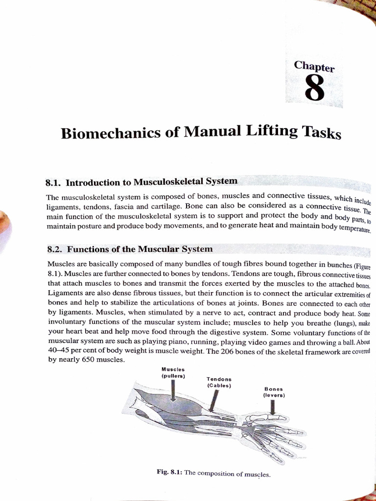 Biomechanics of Manual Lifting Tasks | PDF | Joint | Human ...