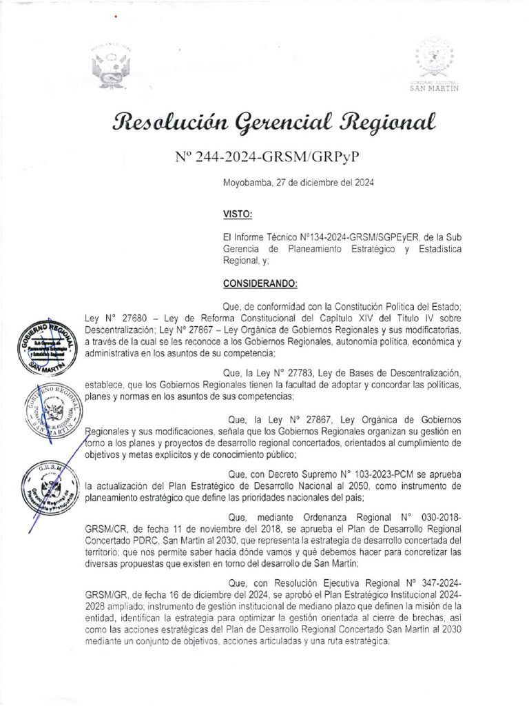 POI Anual San Martín 2025: Estrategias y Objetivos | PDF ...