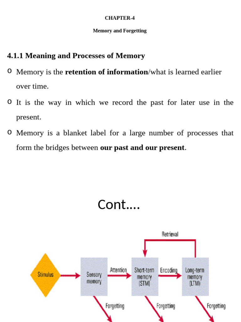 Memory Processes and Forgetting Explained | PDF | Memory | Recall (Memory)