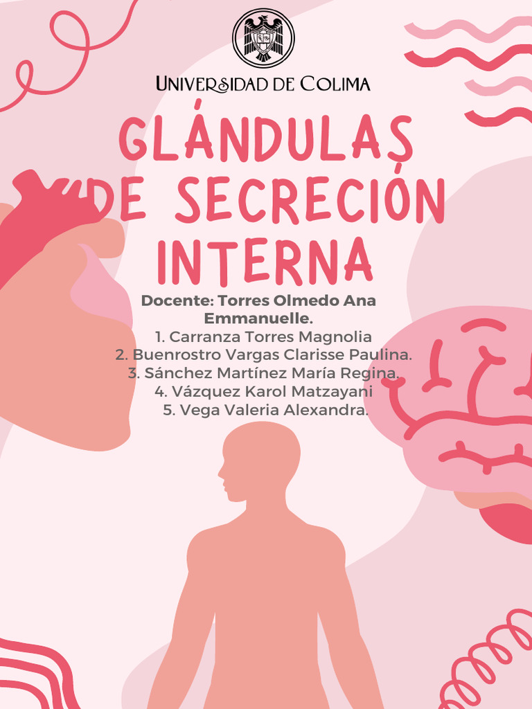 Glandulas de Secreción Interna | PDF
