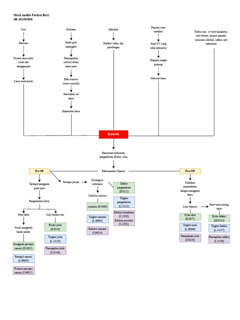 Pathway Pre-Post Pasien Katarak | PDF