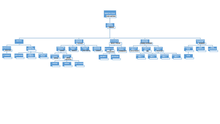 Company Organizational Structure Overview | PDF