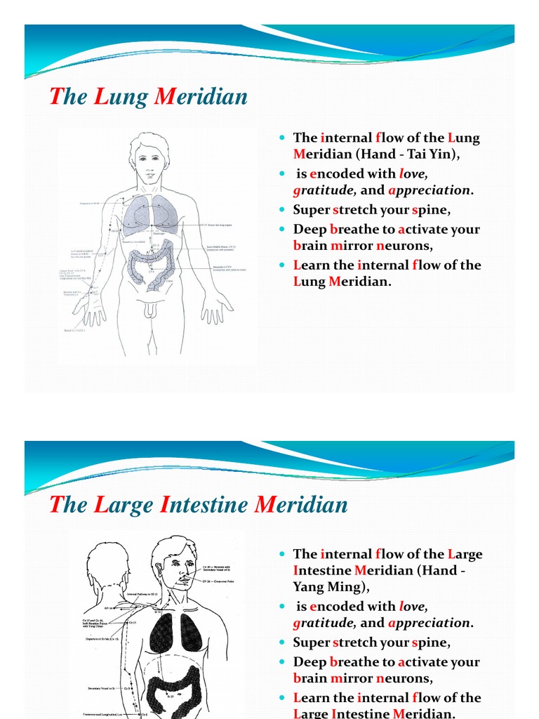 An Introduction to the Internal Flows and Energetic Pathways of the ...