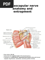 Line Bisection and Star Cancellation Test | PDF