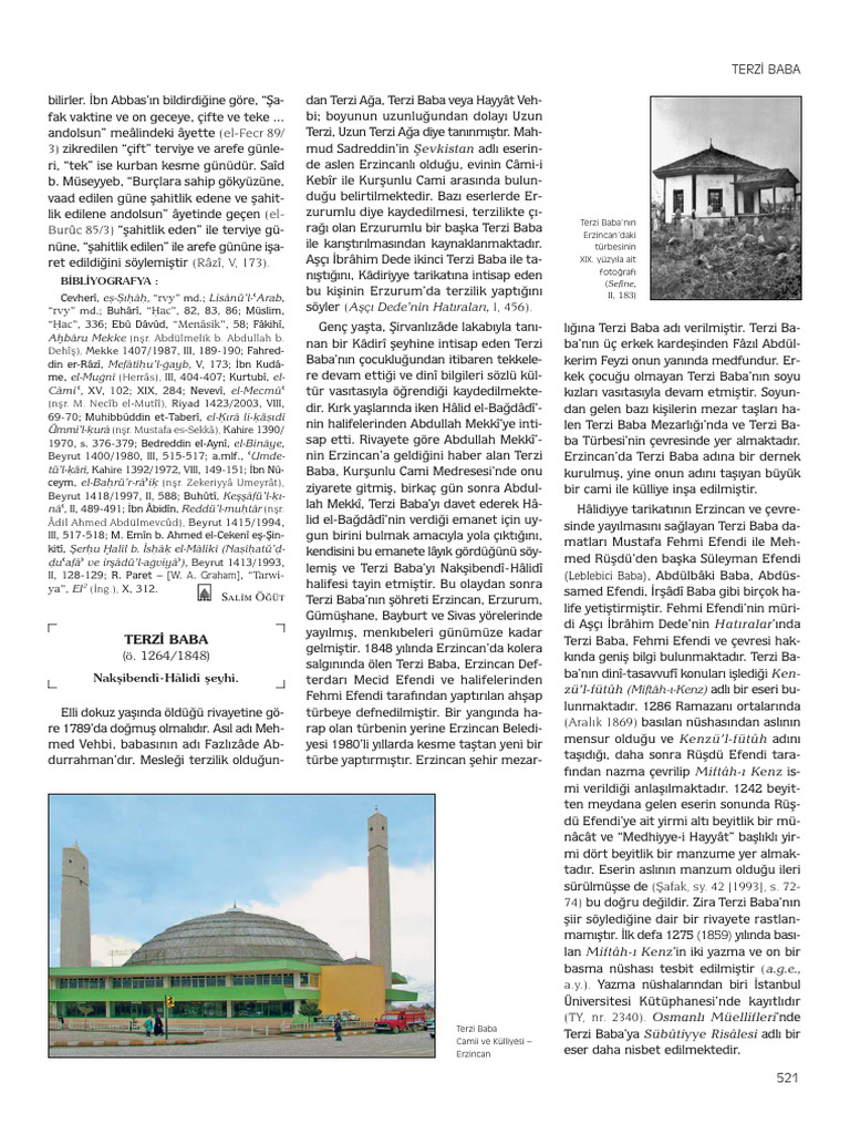 2011 40 Albayrakn | PDF