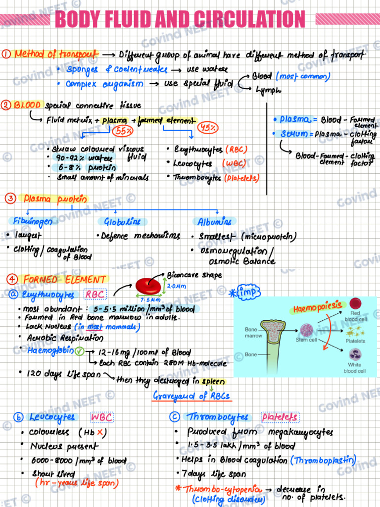 Body Fluids & Circulation | PDF