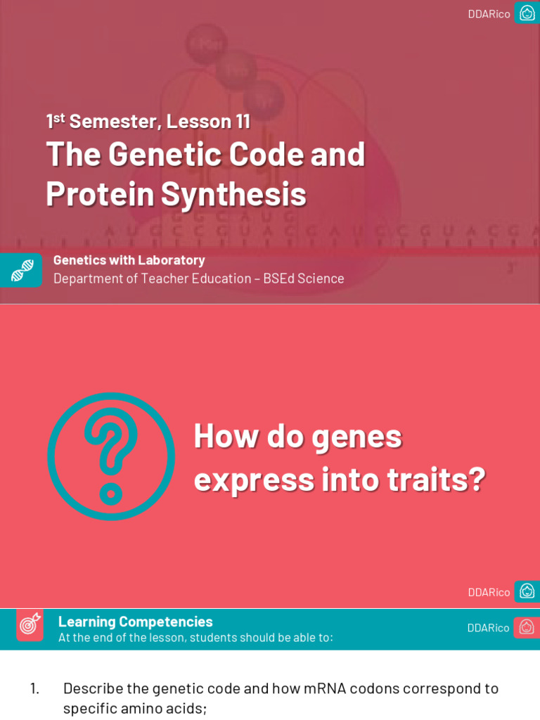 Genetic Code and Protein Synthesis Guide | PDF | Translation (Biology ...