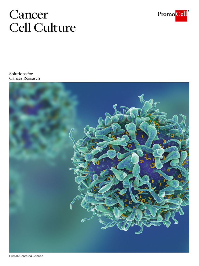 PromoCell Cancer Cell Culture Solutions | PDF | Cell Culture | Metastasis