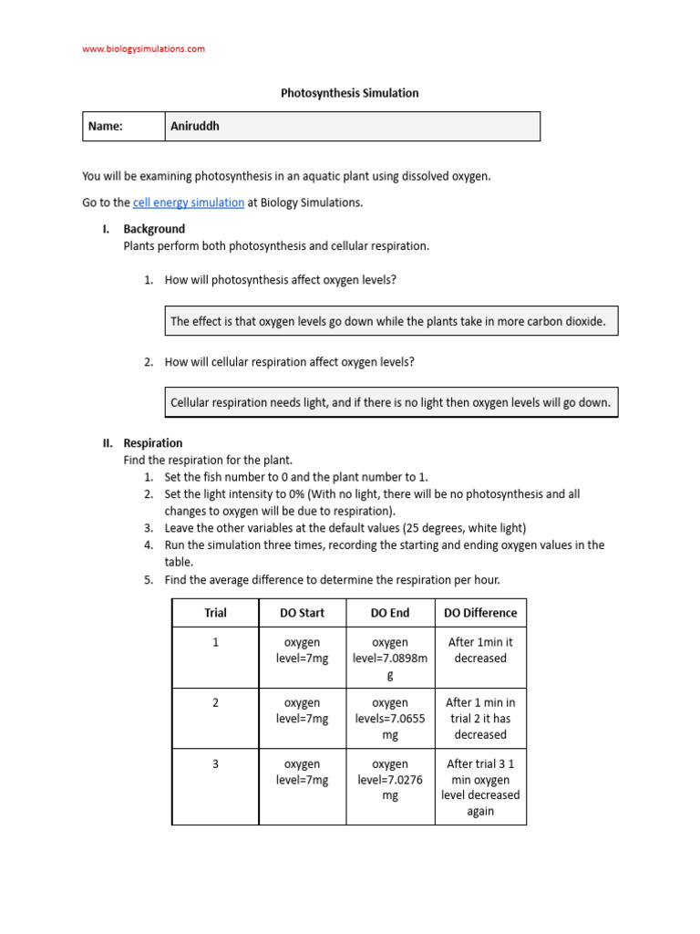 Photosynthesis Simulation Analysis | PDF | Photosynthesis | Oxygen