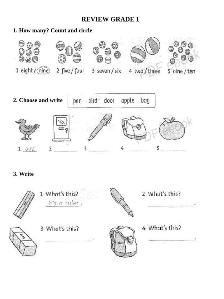 Review Grade 1 Mid Term | PDF