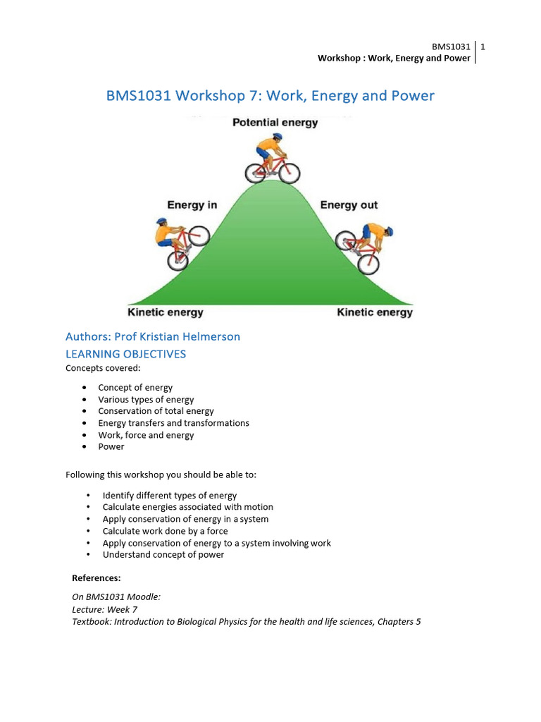 Workshop on Work, Energy, and Power | PDF | Force | Potential Energy