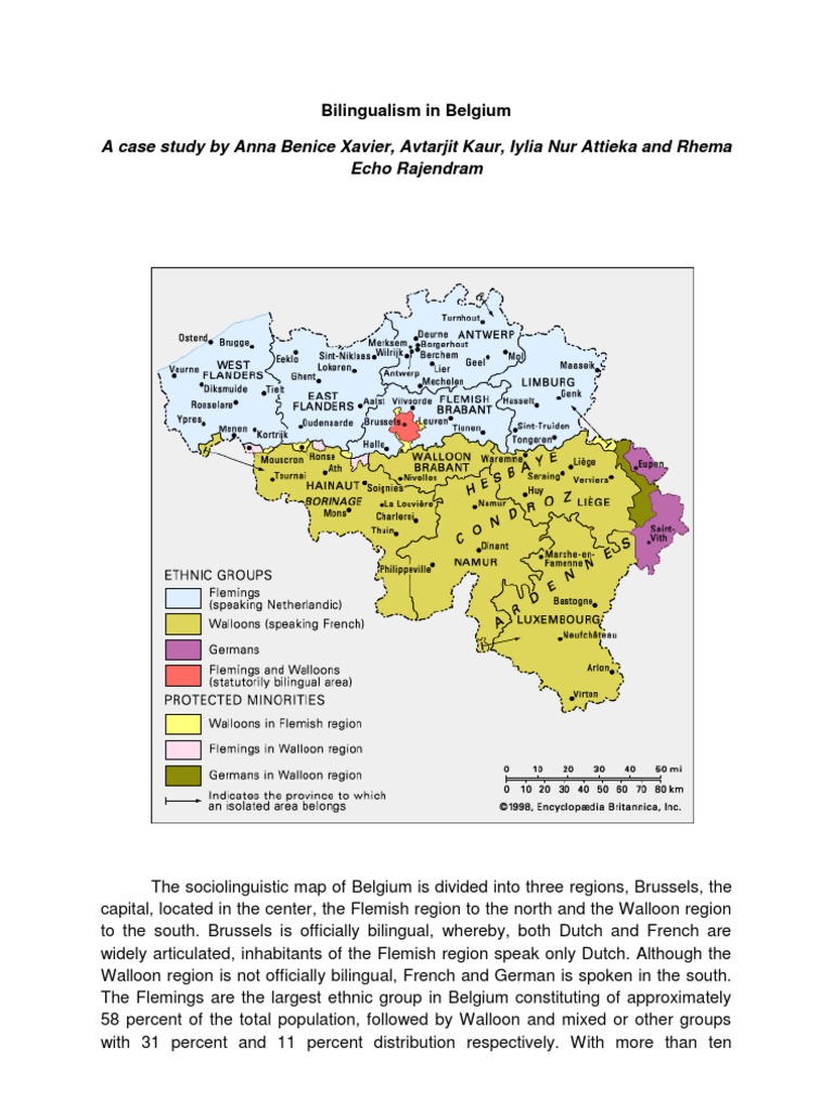 Language Dynamics in Belgium | PDF | Belgium | Flanders