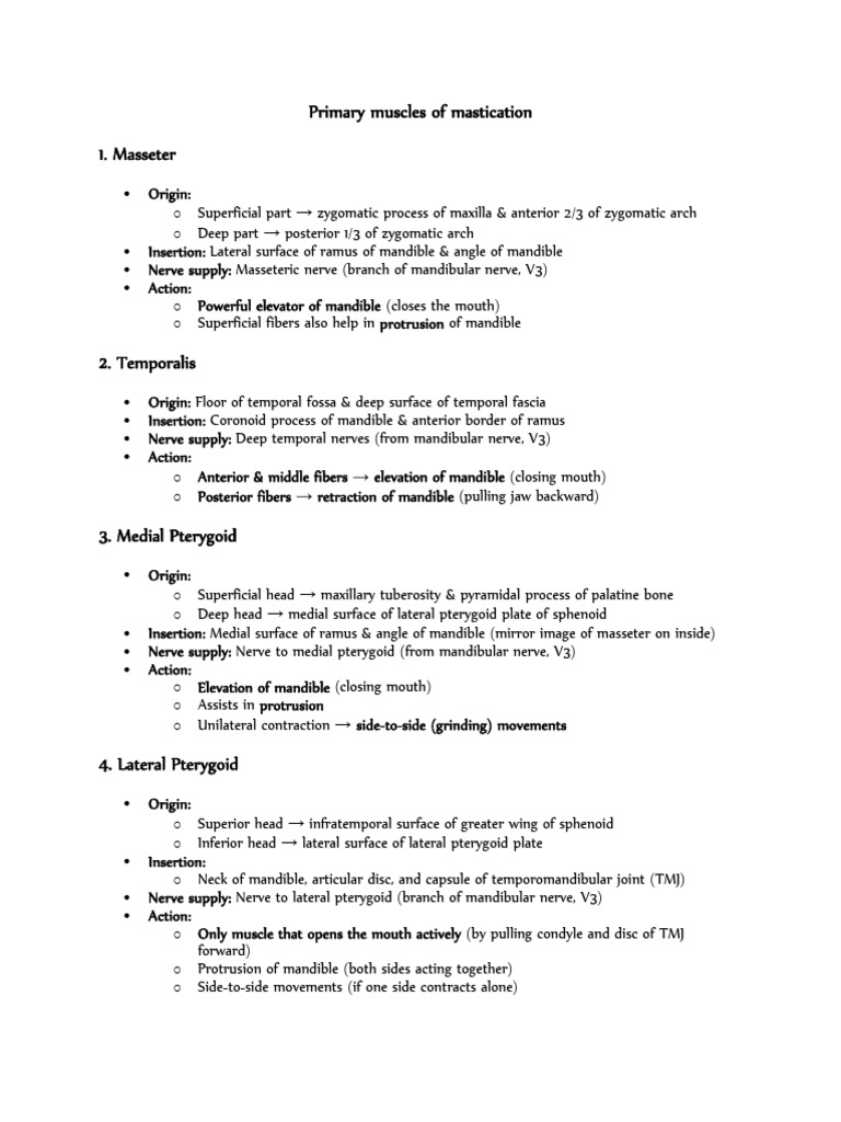 Primary Muscles of Mastication | PDF | Musculoskeletal System | Primate ...