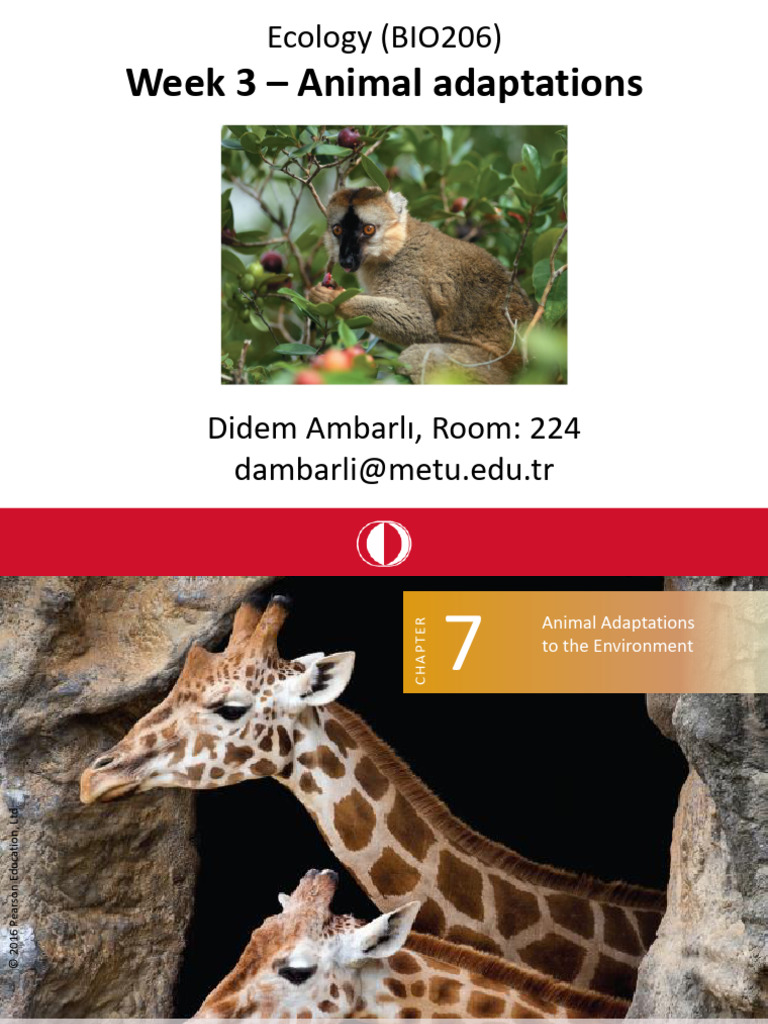 BIO206 Week 5 Animal Adaptations | PDF | Thermoregulation | Herbivore