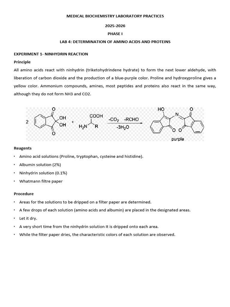 Amino Acids and Proteins 25-26 | PDF | Kidney | Chemical Compounds