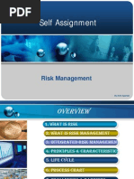 Risk Management Assignment | PDF | Risk | Risk Management