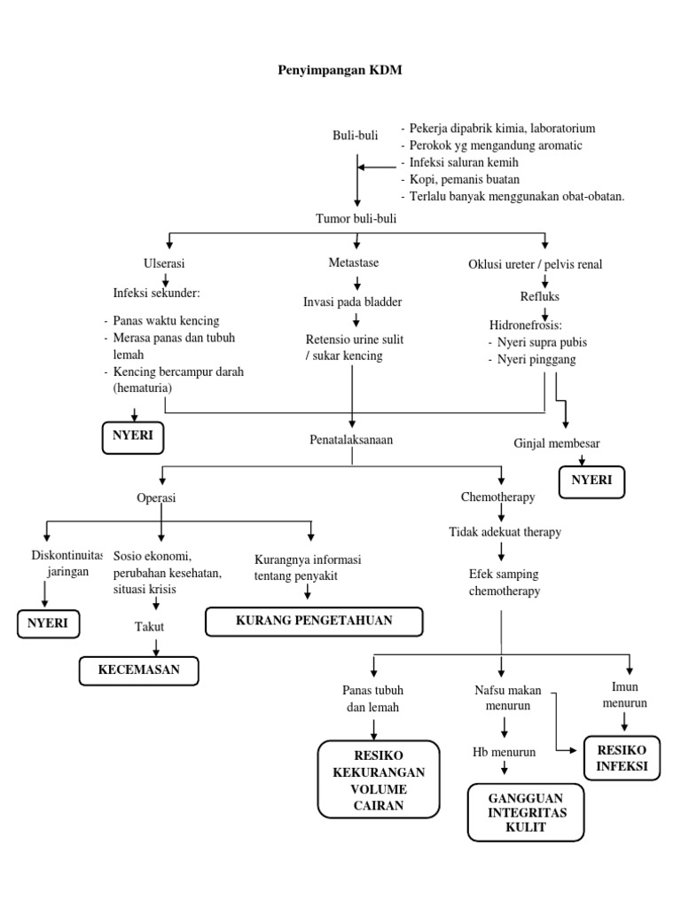 PKDM Tumor Buli-Buli | PDF