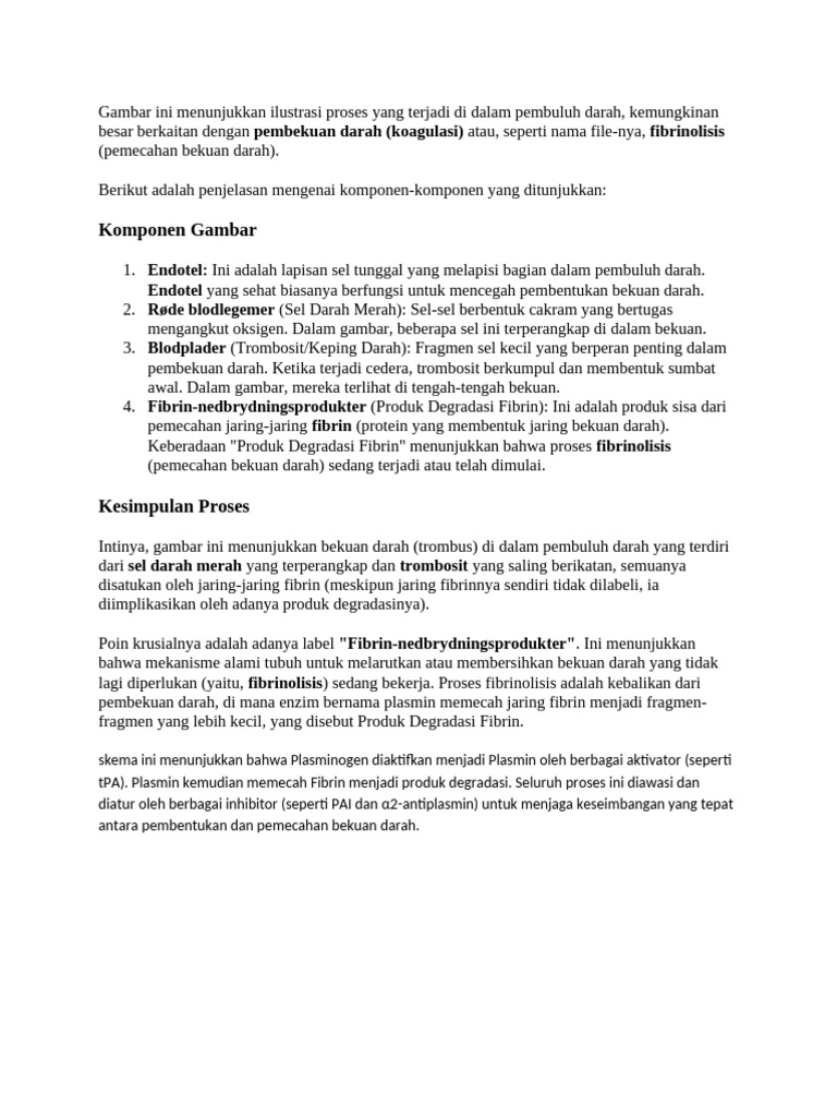Penjelasan PPT Fibrinolisis | PDF