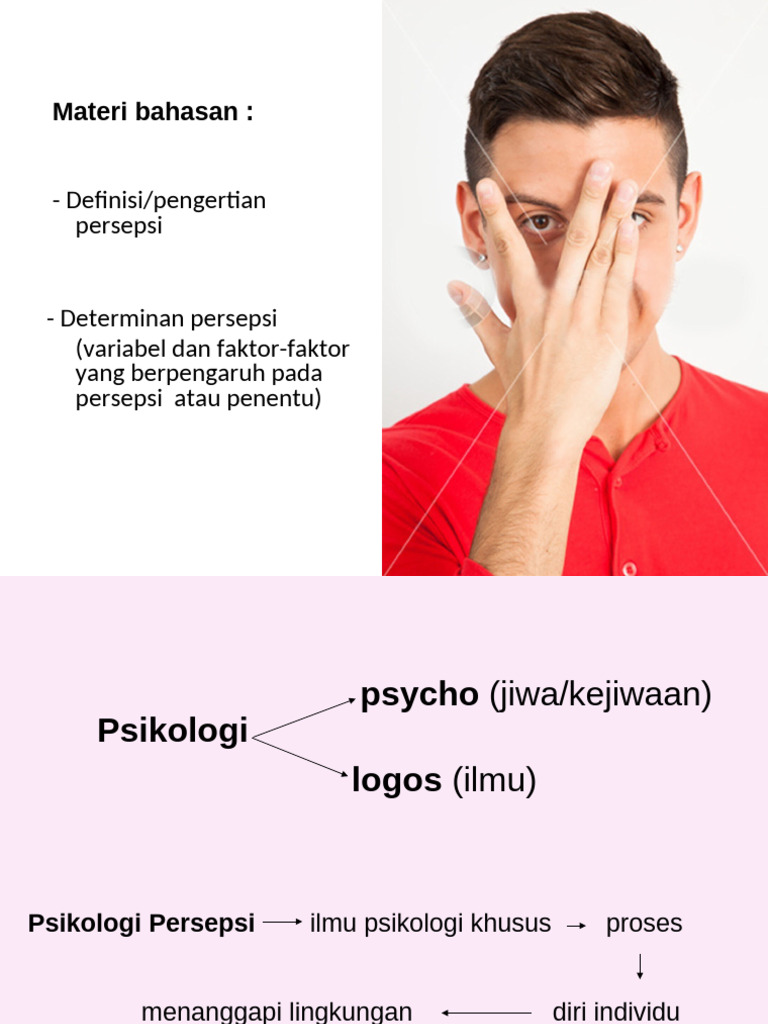 PENGERTIAN VARIABEL PERSEPSI Rev 23 | PDF