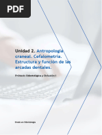 Tipos y Formas de Arcadas Dentales | PDF