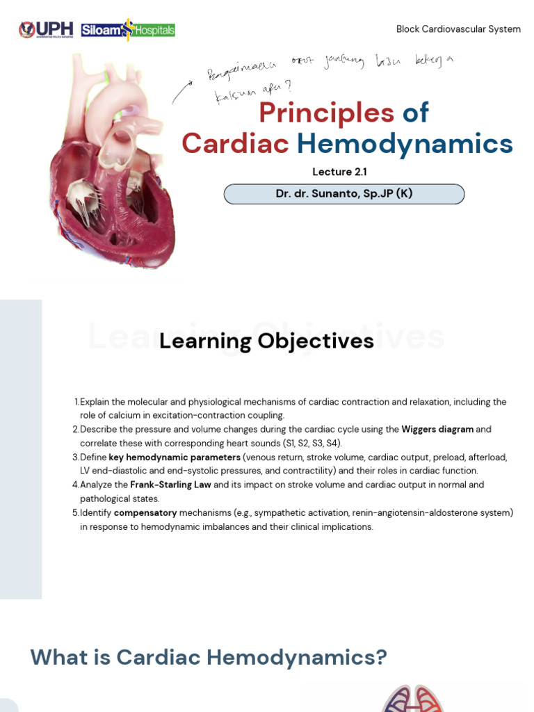 Cardiac Hemodynamics Overview | PDF | Heart | Hemodynamics