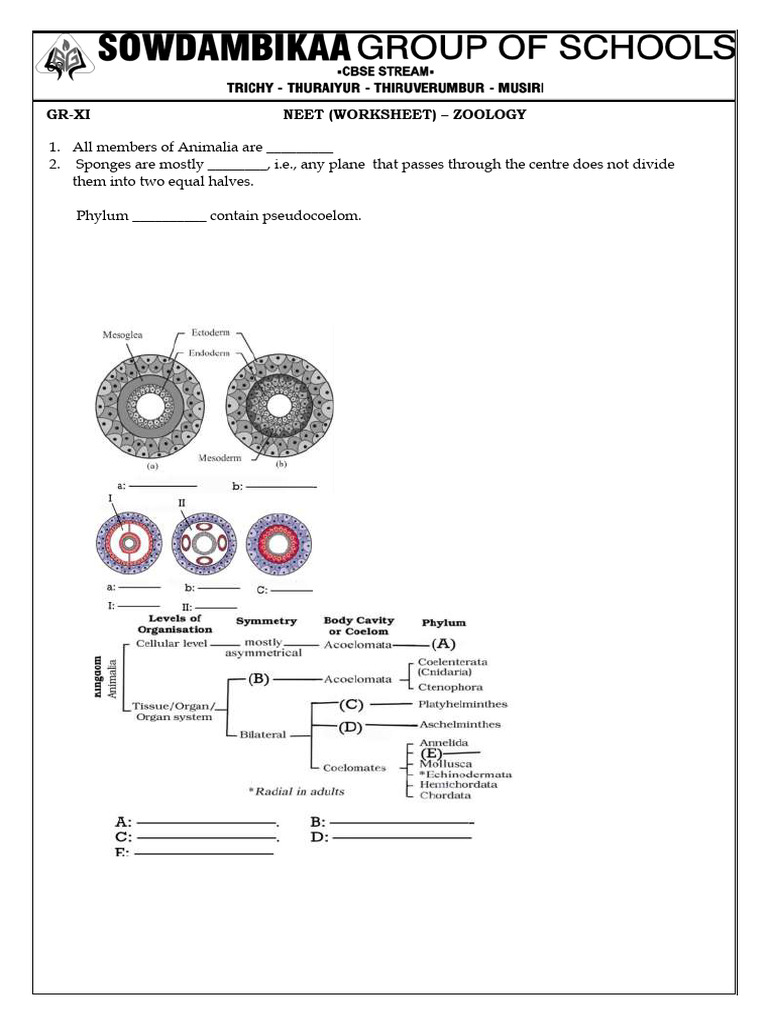 Gr-Xi-Neet (Worksheet) Zoology-02.07.24 | PDF | Zoology