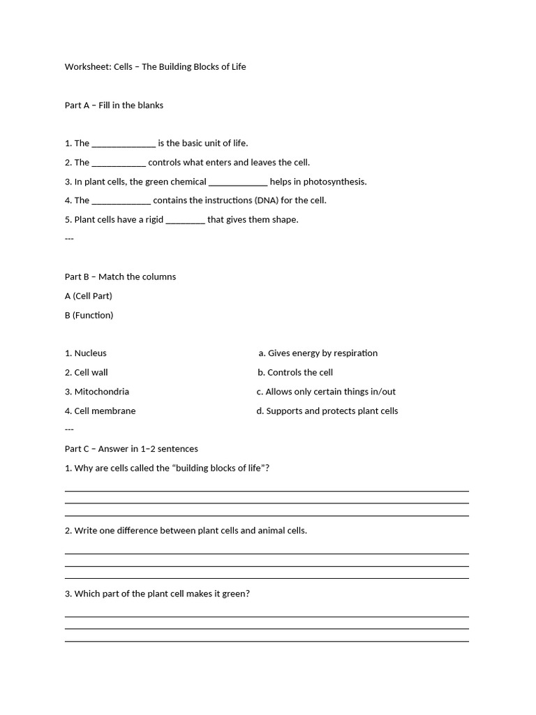 Worksheet | PDF | Cell (Biology) | Chloroplast