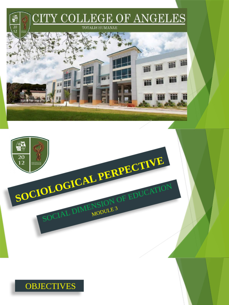 Module 3 Sociological Perspective | PDF | Society | Socialization