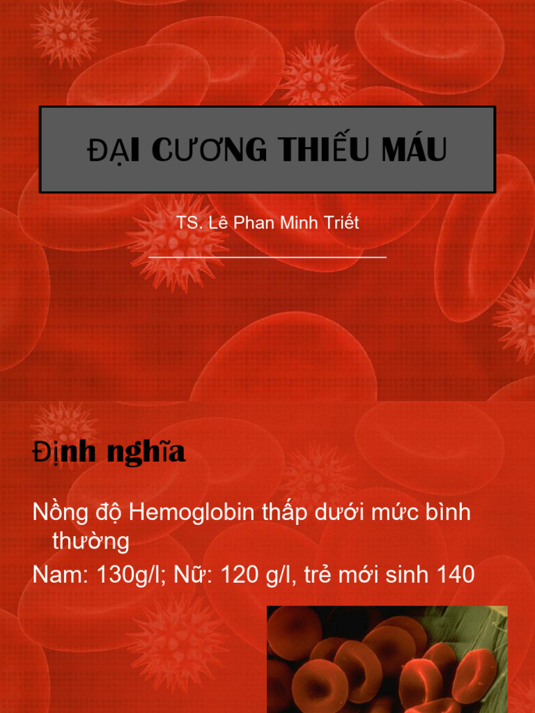 Thieu Mau 2025 | PDF