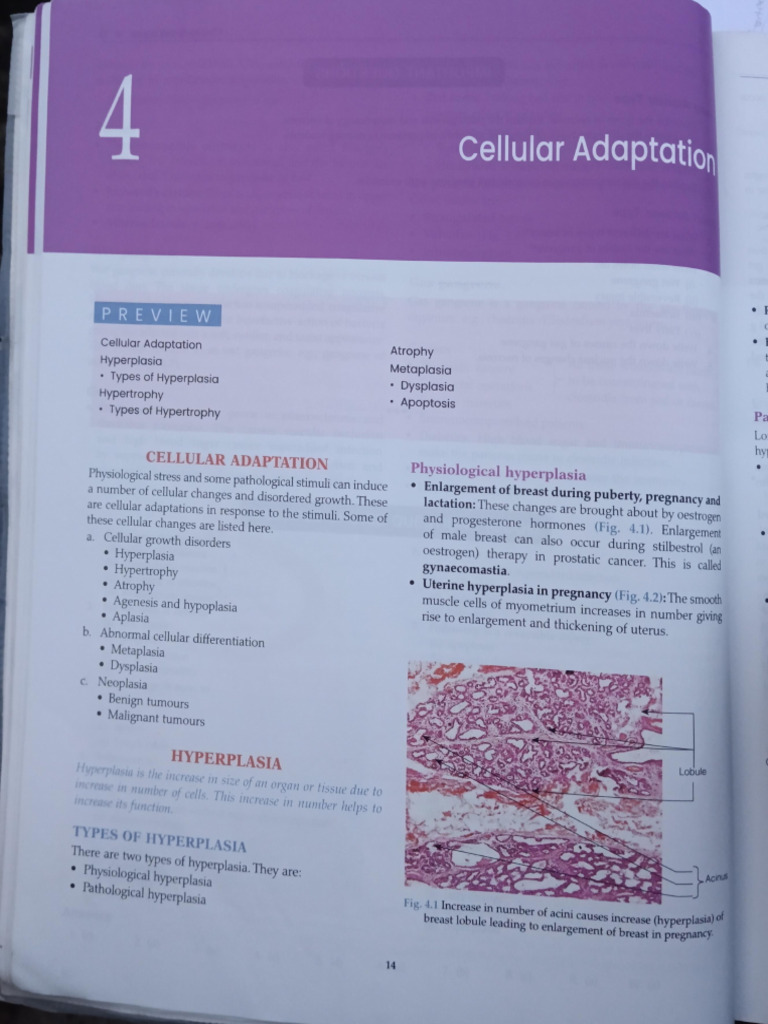Previous Years Pathology | PDF