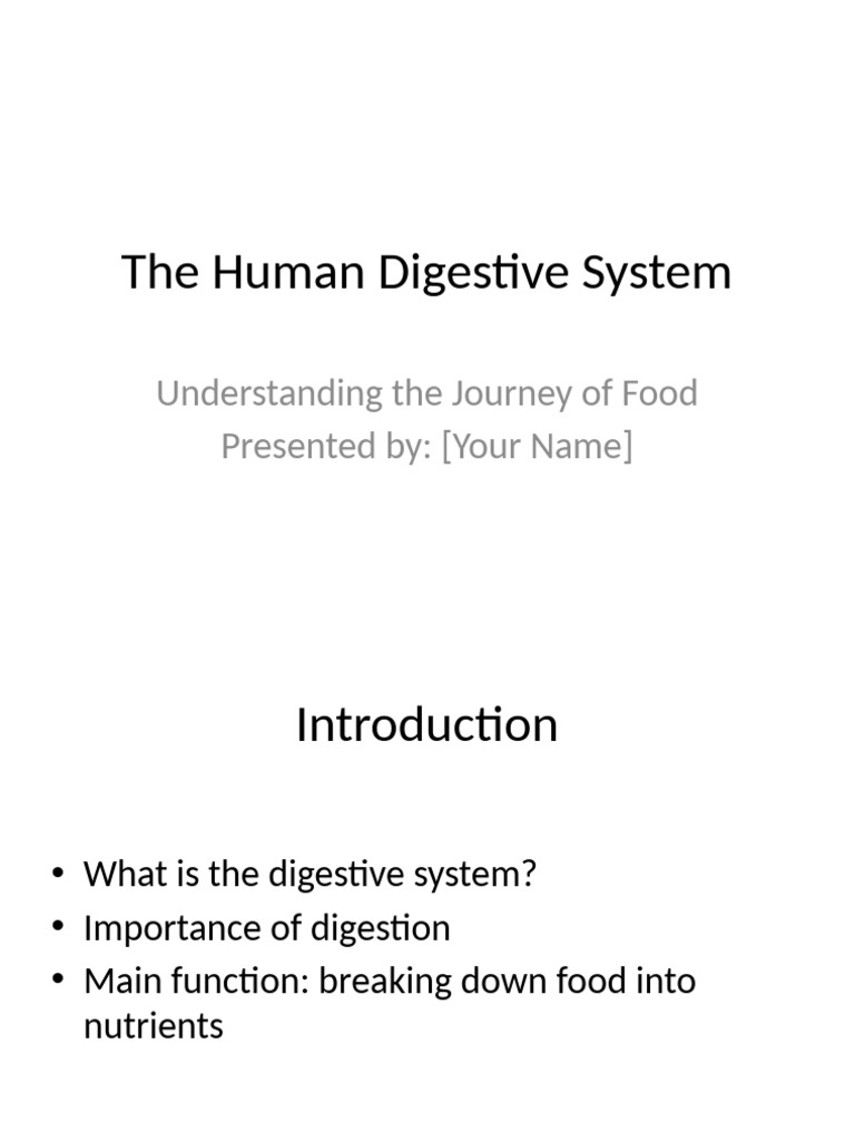 Digestive System Presentation | PDF