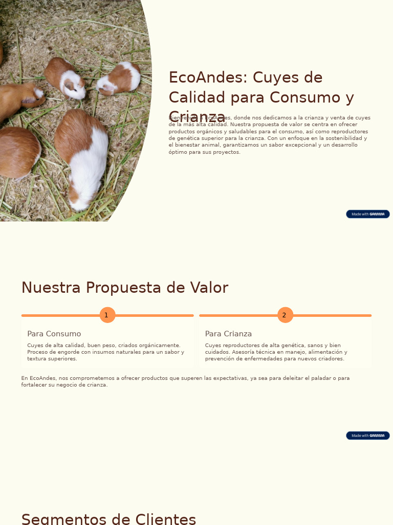 EcoAndes Cuyes de Calidad para Consumo y Crianza | PDF | Conejillo de ...