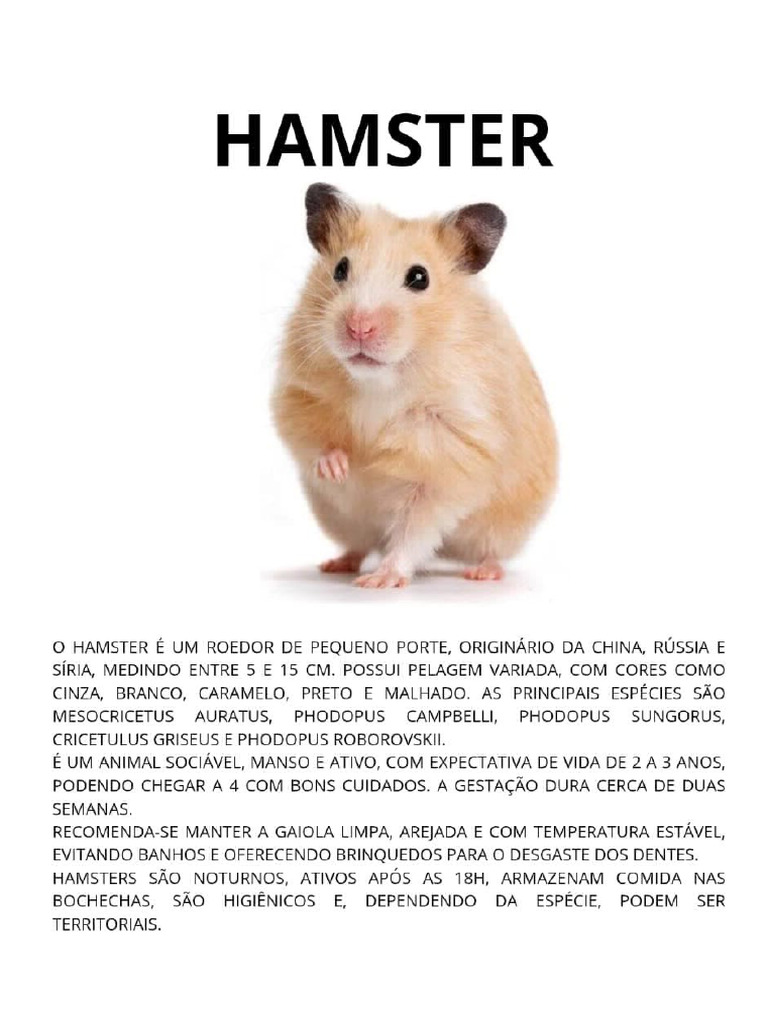 Hamster | PDF