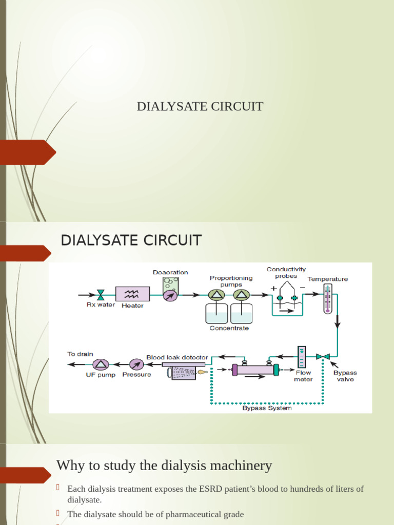 Dialysate Circuit | PDF | Hemodialysis | Heart