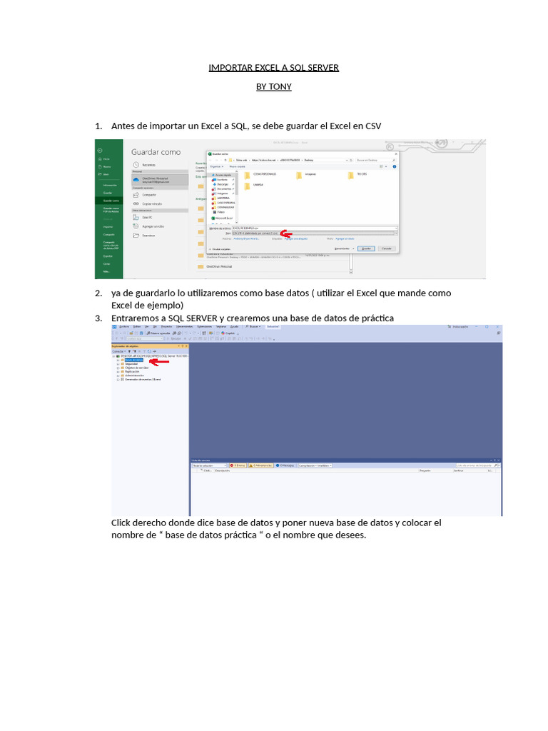 Importar Excel a SQL Server | PDF