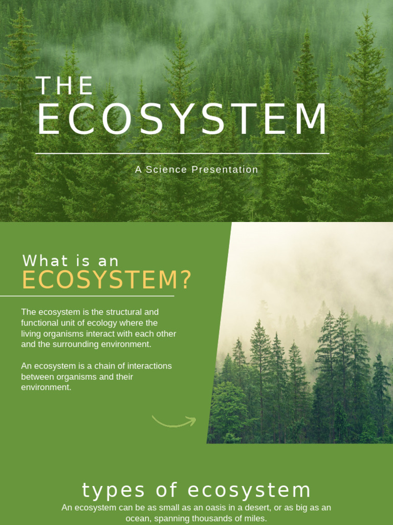 Ecosystem Geography Social Science Fun Photo School Project ...