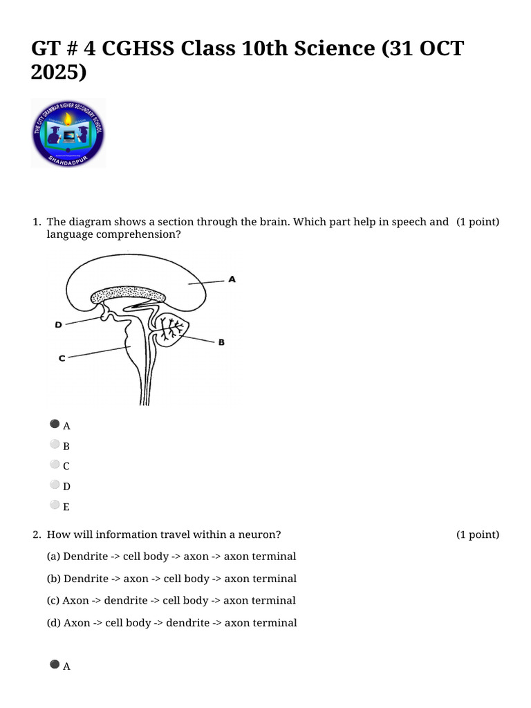 Class 10 Science Brain and Neuron Quiz | PDF | Electromagnetic ...