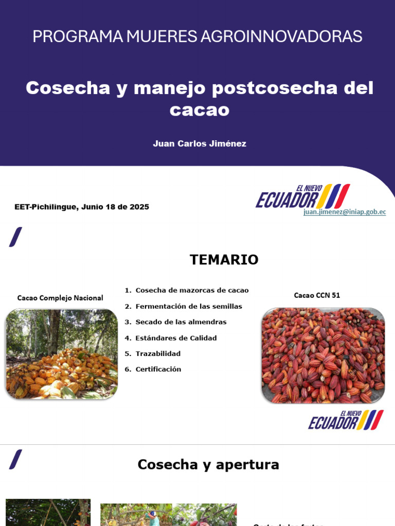 Cosecha y Poscosecha de Cacao Final | PDF | Fermentación | Biología